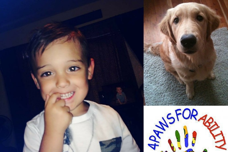 Fundraiser by Christine Renae : Autism Service Dog for Brayden