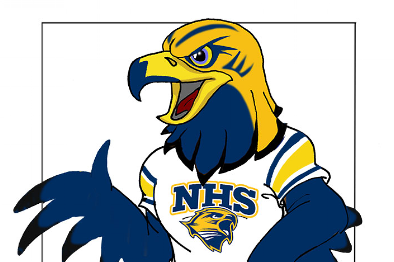 Fundraiser by Northfield Nighthawks : Northfield Nighthawk Mascot