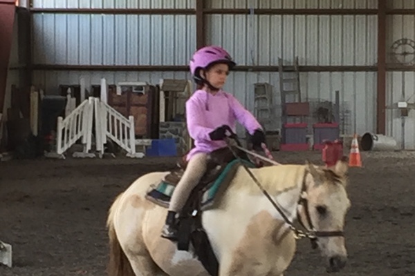 Fundraiser for Regina Ennis by Jolene Bauer : Regina Ennis-Veterinary ...