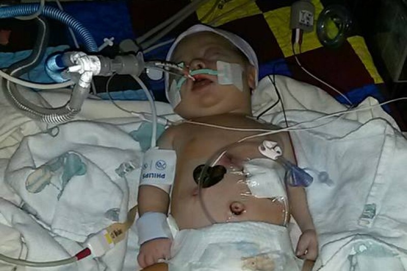 Fundraiser for Lisa Caprara by Meagan Caprara : Brecken Caprara's Heart ...