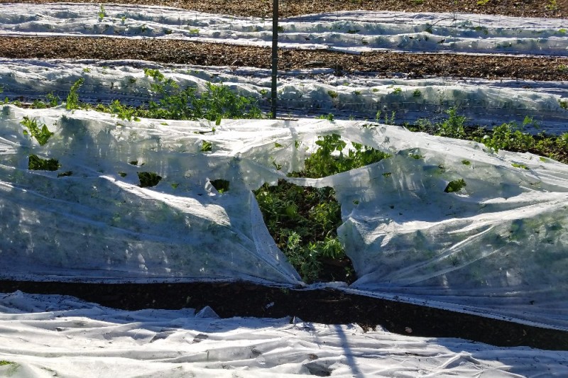 Fundraiser for Joseph Camire by Cherise Ruskiewicz : Ahavah Farm hail ...