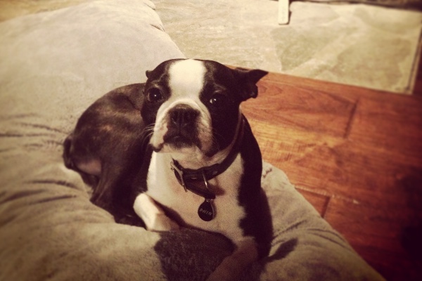 Fundraiser by John Magnus Champlin : Phin's Phix-up Phund