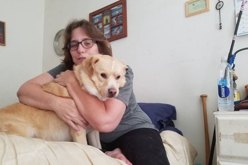 Fundraiser by Shelly Baer : Help River get the Surgery he Needs