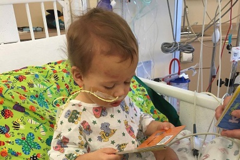 Fundraiser for Megan Cannon by Nancy Ingalls : Helping Liam With ...