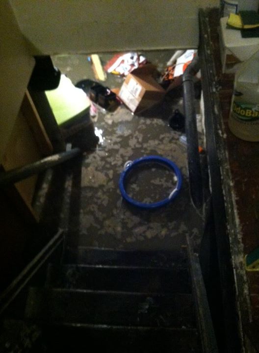 Fundraiser by Jake Vogel : Save The Jaggerbush