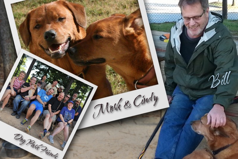 Fundraiser for William Durr by Phil Robst : Help Disabled Dog Park Dad