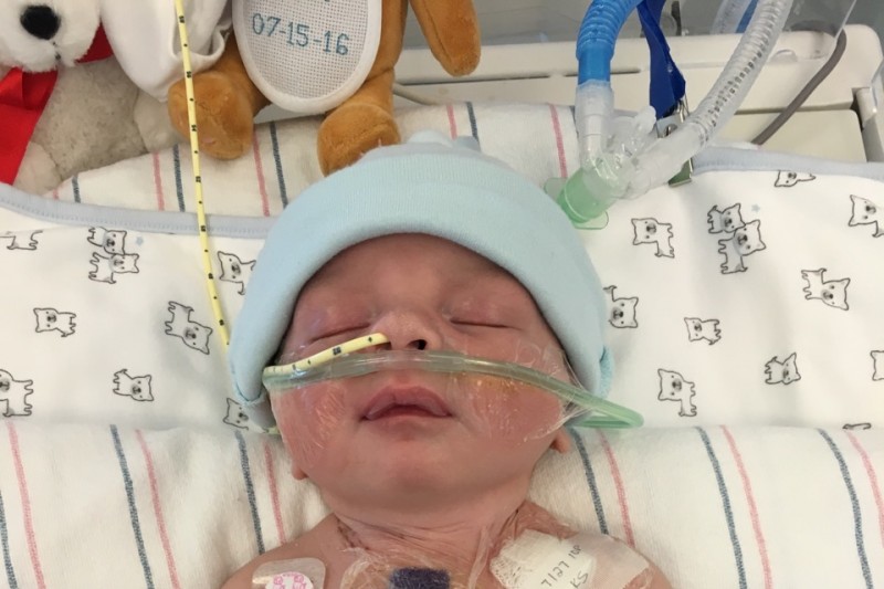 Fundraiser for Megan Rogan by Sue Sim : Where There's A WILL, There's A Way