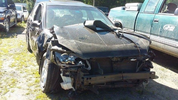 Fundraiser for Monica Clark by Sarah Clark : Drunk driver causes bad ...