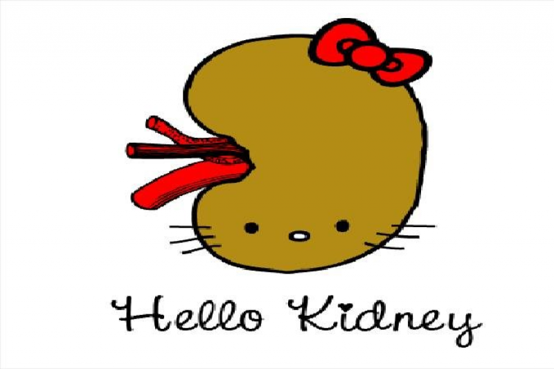Fundraiser by Becky Ledingham Gray : Hello Kidney