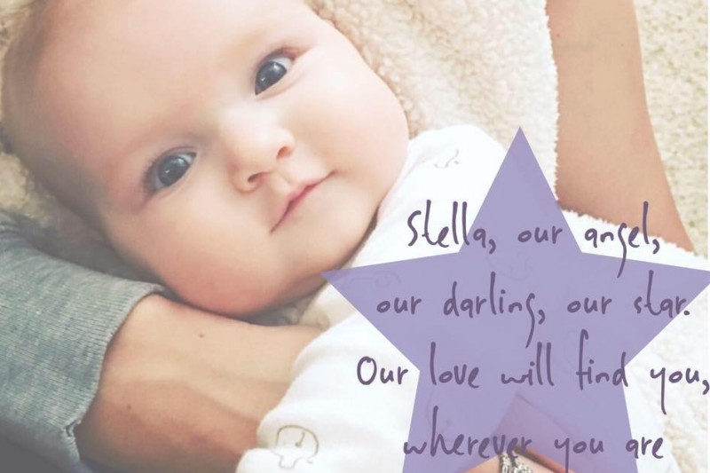 Fundraiser for Timothy Brach by Sarah Evans : For Stella