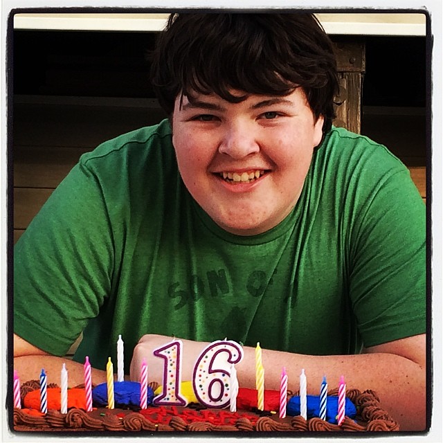 Fundraiser by Kristi Poole : Fox's Surgery Fund