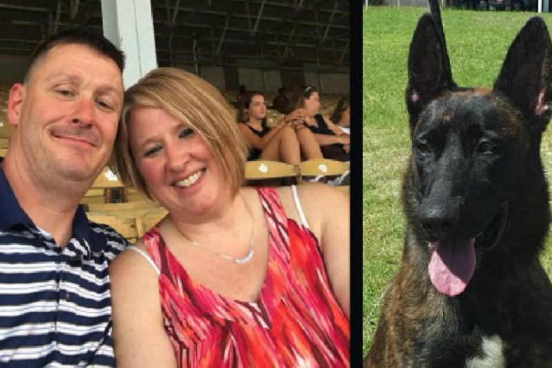 Fundraiser by Jenn Hollinger : PTSD Service Dog for Jenn