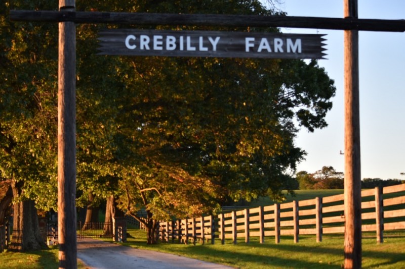 Fundraiser by Vince Moro : Neighbors For Crebilly