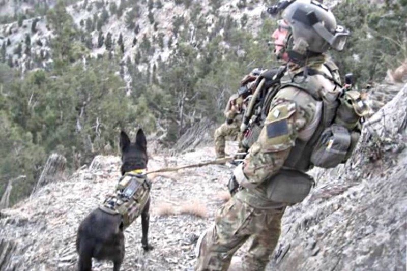 Fundraiser by Melissa Webb Hunter : Retired Army Ranger K9 Surgery Fund