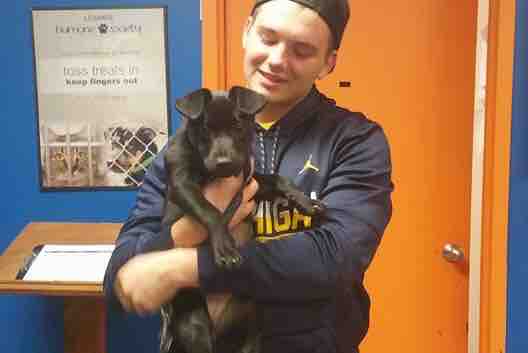 Fundraiser by Dylan Hammond : Dylans diabetic alert dog fund