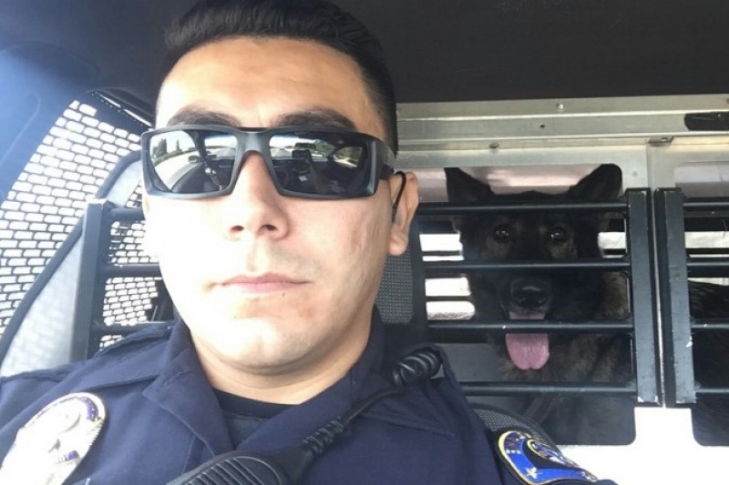 Fundraiser for Clem Clinton by Amy Shaver : Help Officer Clinton keep Meeka