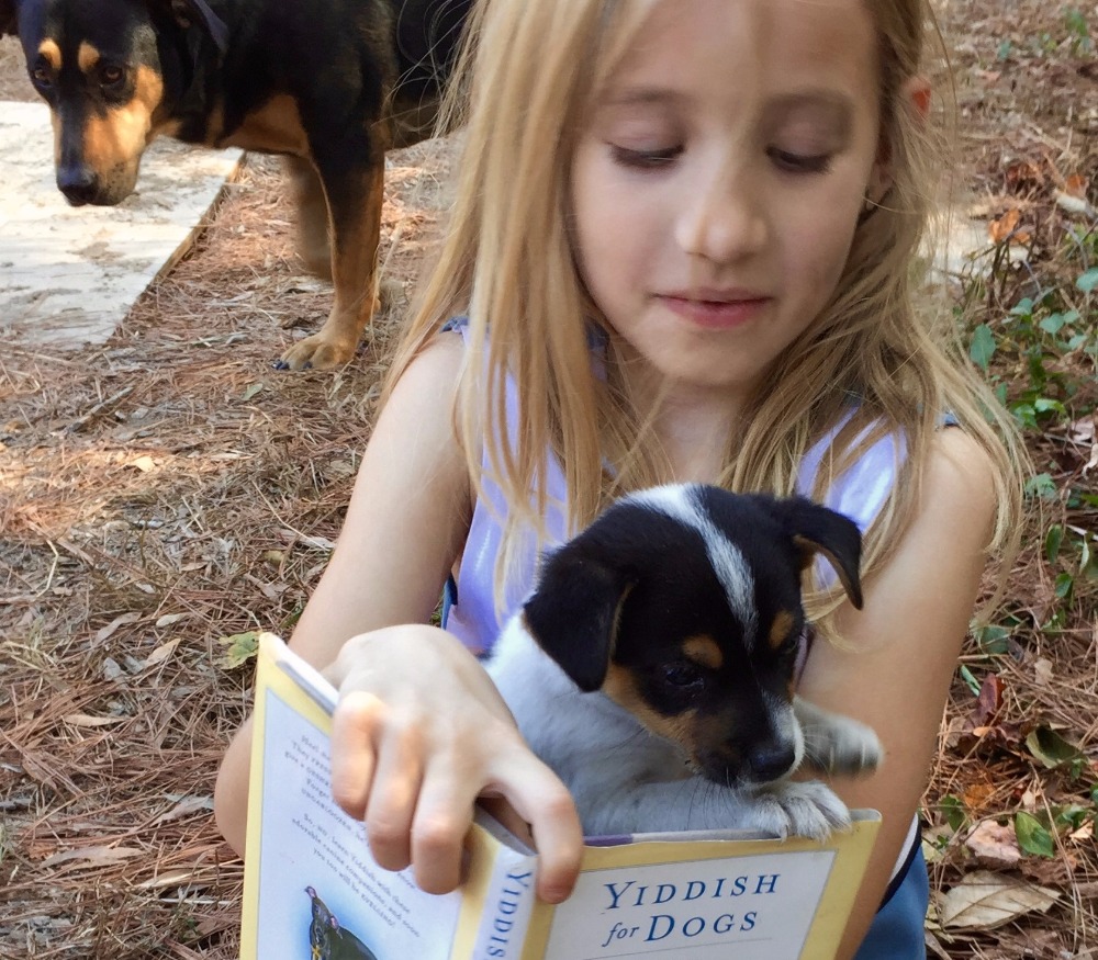 Fundraiser for Debbie Waugh by Drew Deason : Salamander Springs new ...