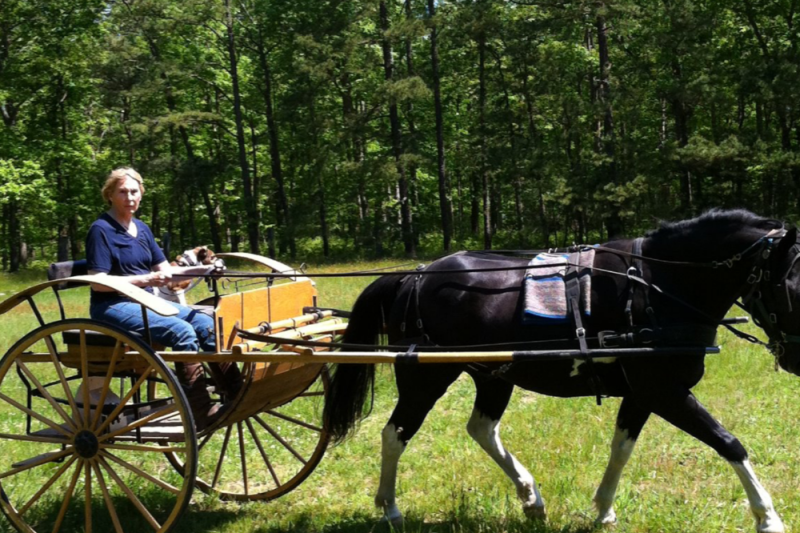 Fundraiser for Judy Cook by Mary Jo Couts : Show support for Judy Cook