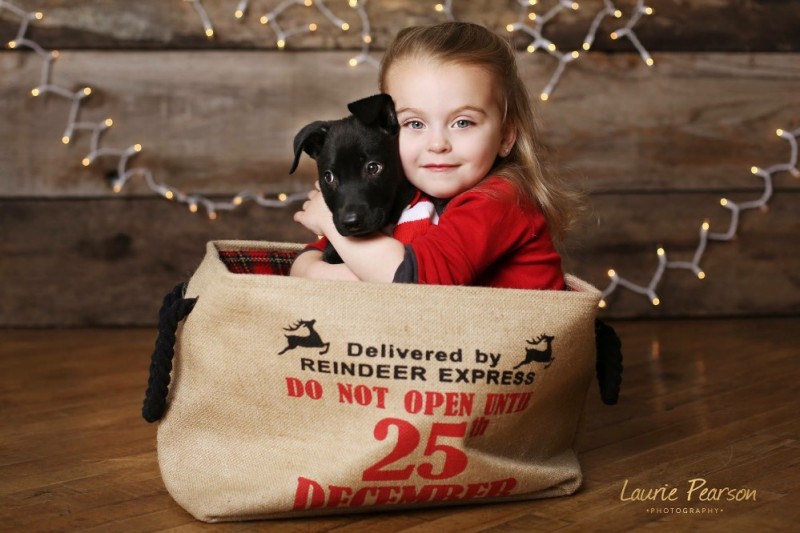 Fundraiser for Shannon Crooks by Shanna Crooks Perez : Help Us Save Our ...