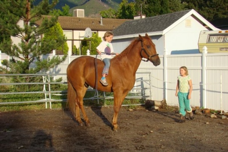 Fundraiser by LeAnne Huff : Bucks for Bel