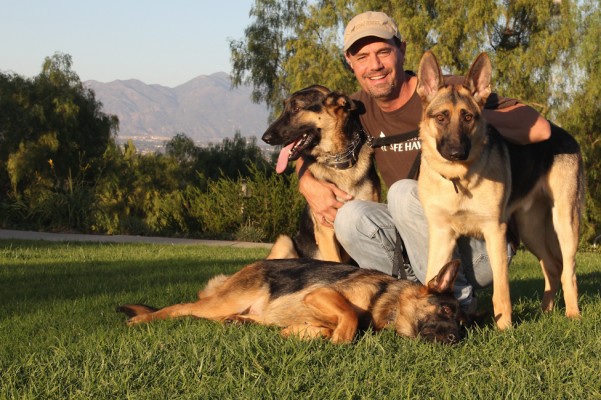 Fundraiser by Fostering German Shepherds : Help Me, Help German Shepherds