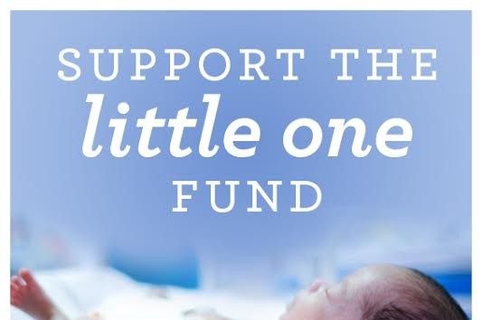 Fundraiser by Pro Life Campaign Ireland : The Little One Fund