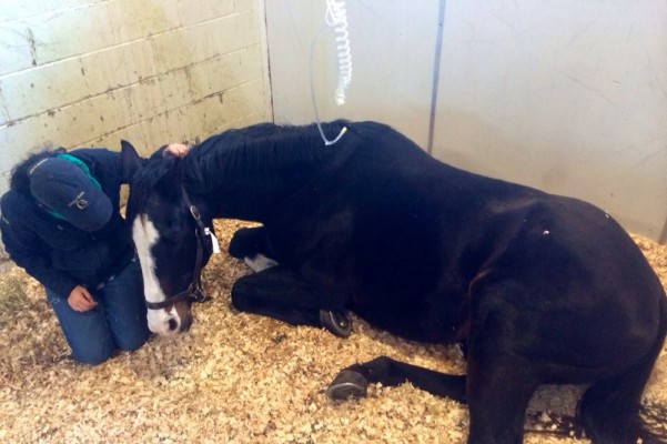 Fundraiser by Seth Laskin : Will Needs Surgery