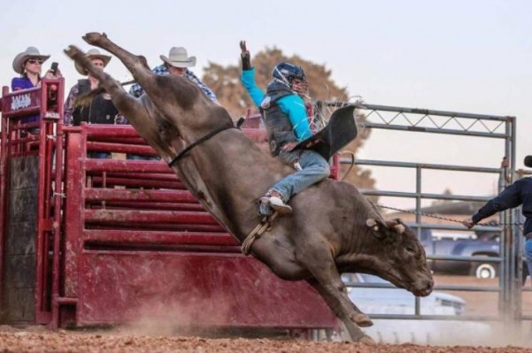 Fundraiser by Ricky Hallam : Bull riding sponsorship
