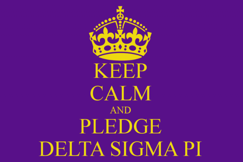 Fundraiser by Victoria Berzins : Beta Beta Pledge Class of DSP