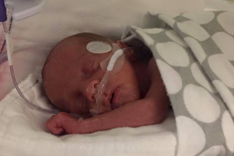 Fundraiser by Heidi Welch Christman : Support the Hammitt Family