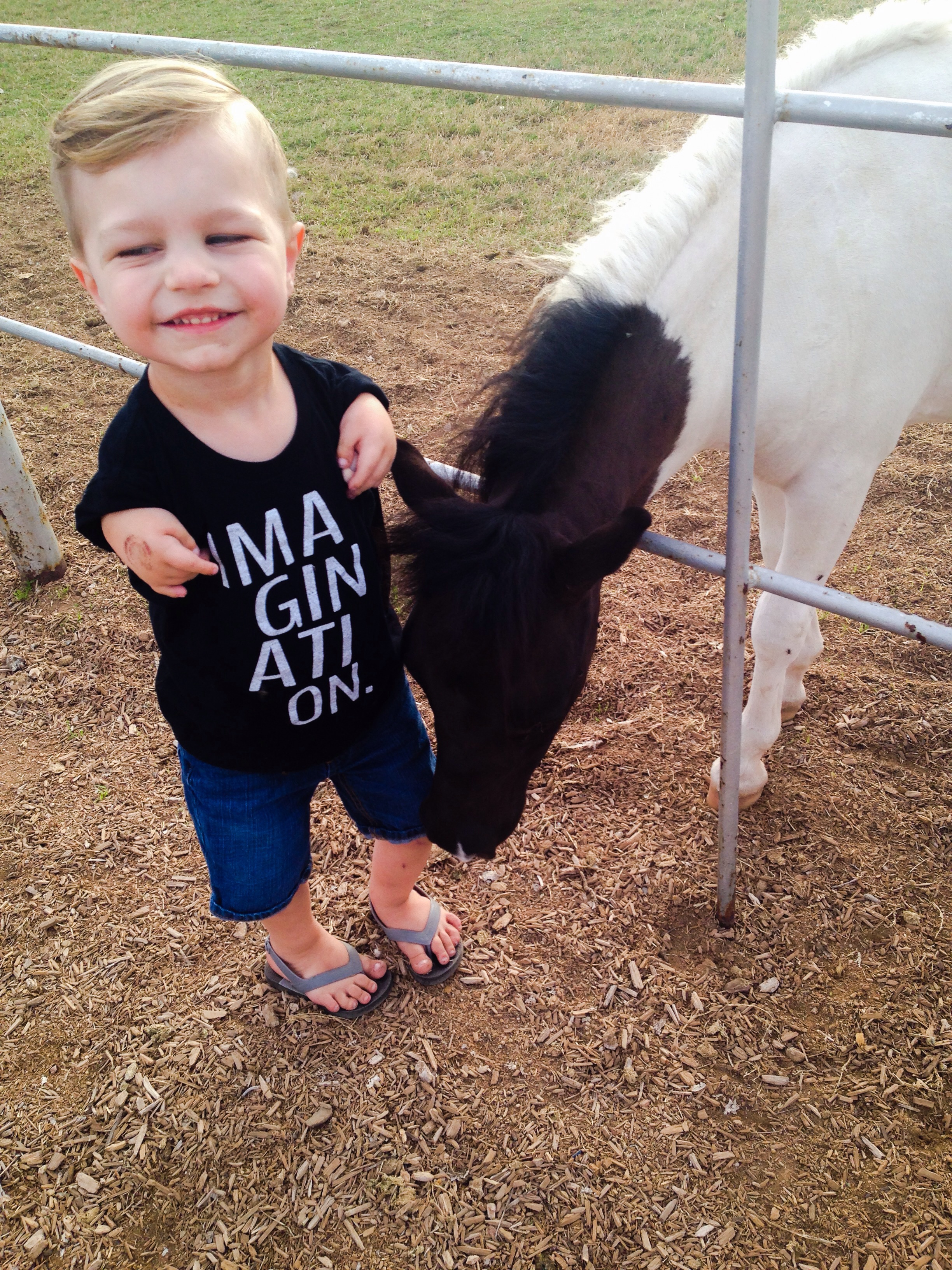 Fundraiser by Brandi Eklund : Matix's Journey