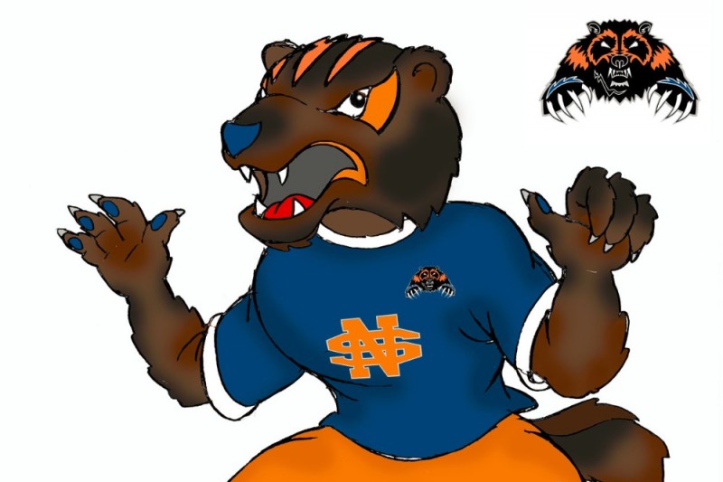 Fundraiser by Marla Satterfield : NSHS Class '95 Reunion Fundraiser