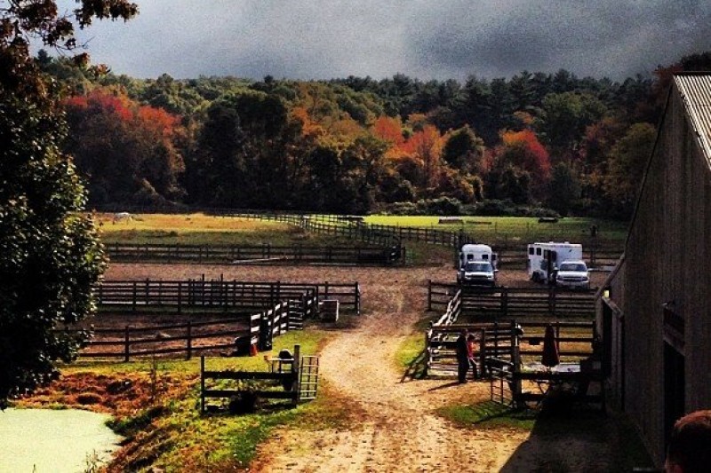 Fundraiser for Sarah Hasanoglu by Beth Scales : Full Circle Stables ...