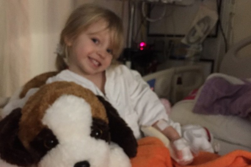 Fundraiser by Kim Gunther : Give A Hoot for Brooklyn