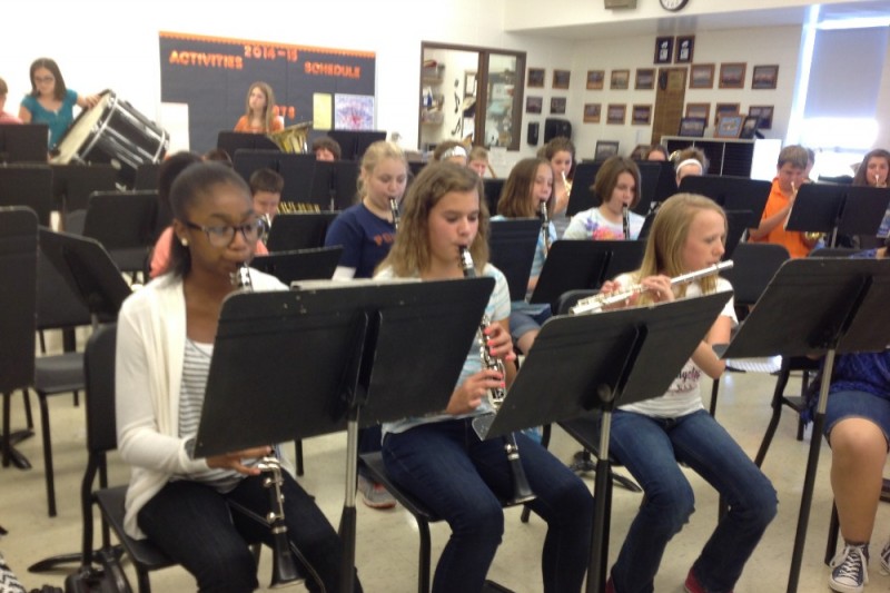 Fundraiser for Cheryl Spires by Laura Ramseyer : Bandsavers need help!