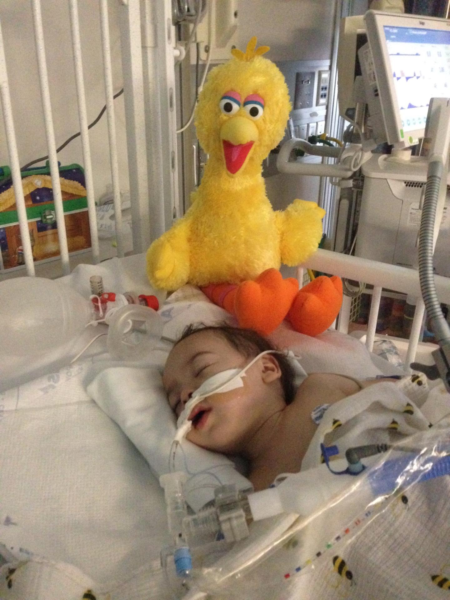 Fundraiser for Cori Castillo by Crystal Collins : Jaxson Castillo