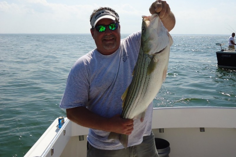 Fundraiser for Linda Schuchmann by Denise Colquitt : Jerry Schuchmann