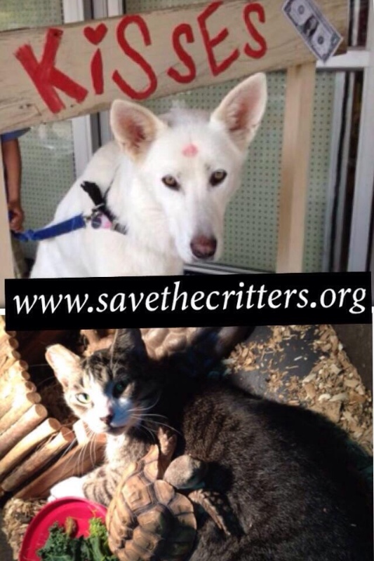 Fundraiser for Claire Desrosier Pass by Vanessa Burdette : Help Critter ...