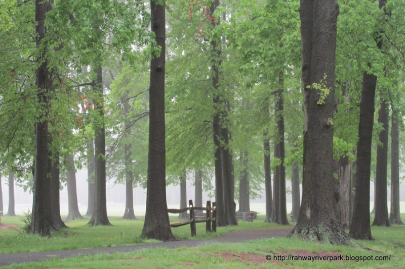Fundraiser by Rob Bothe : Save Historic Rahway River Park
