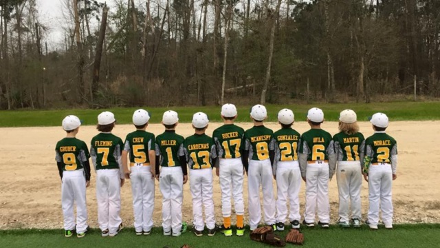Fundraiser by Erica Gruber : JWS Gators 8U World Series Bound