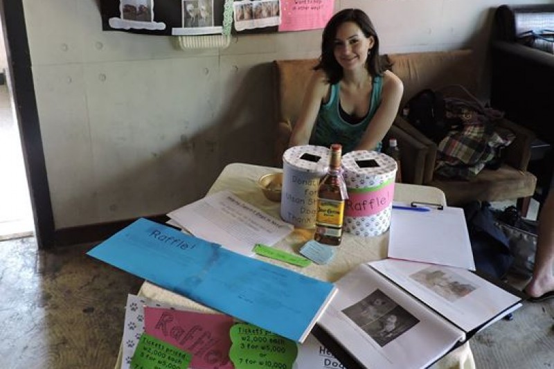 Fundraiser by Danielle Lauer Hayes : Helping Pups in Ulsan to Safety