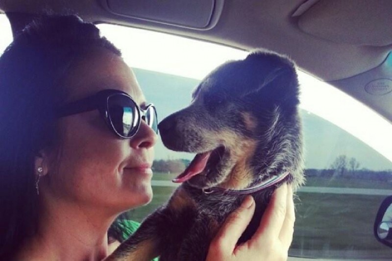 Fundraiser by Michelle Ricker : Time to help the "helper"