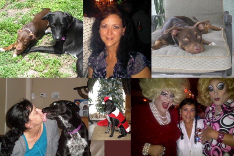Fundraiser for The Michelle Kay Hilmes Special Needs Irrv Trust by ...