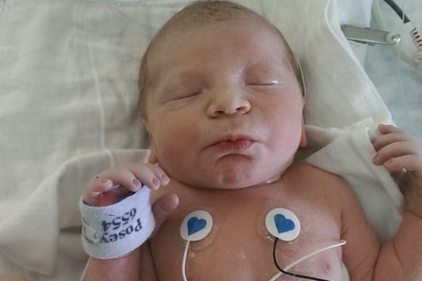 Fundraiser for Erika Fallon by Tiffany Schreck : Fundraiser for the Fallons