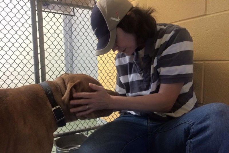 Fundraiser by Toni Stacy : Fees to help with Niko