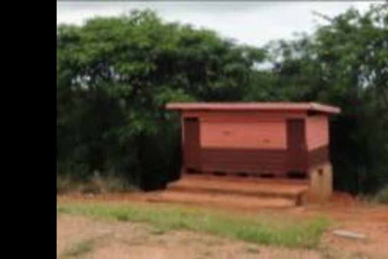 Fundraiser by Ranford SonnyBoy Williamson : Pratville Primary School's ...