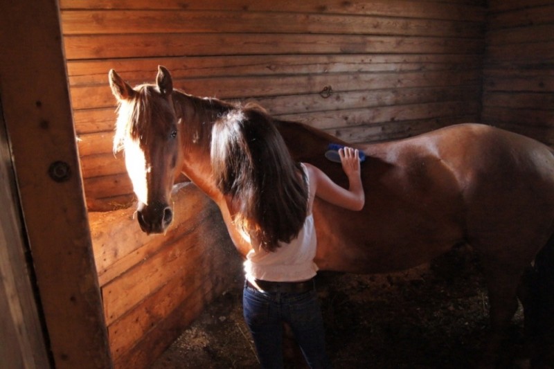 Fundraiser by Sheri Pope : Barn Raising