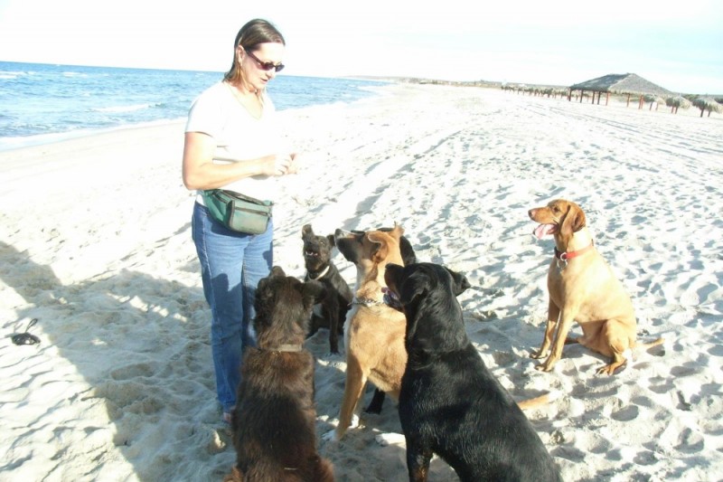Fundraiser by Emma Nicholson : Help Tracey with her Treatment