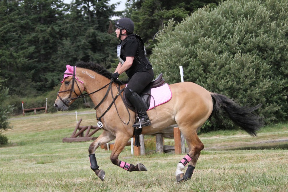 Fundraiser by Jolynn-Marie Wagner : Wild Pony Eventing Competition Fund