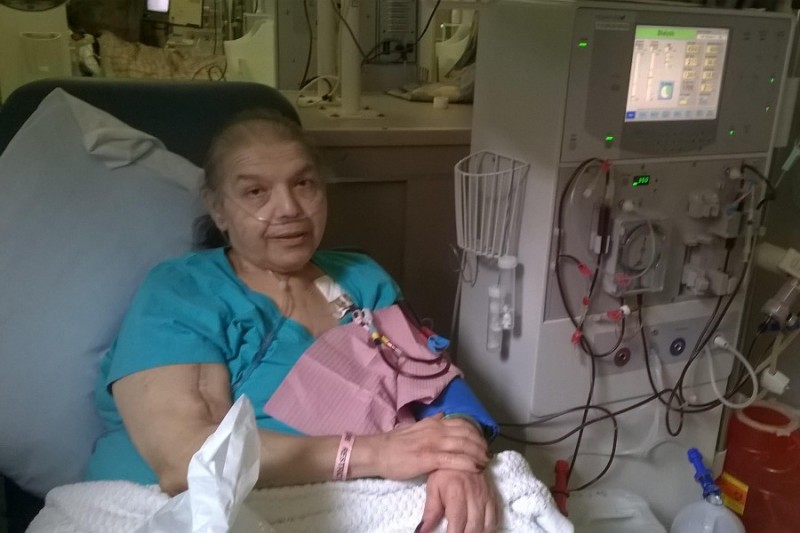 Fundraiser for Goomba's Reptiles by Ralph Messo : Please help my sister ...